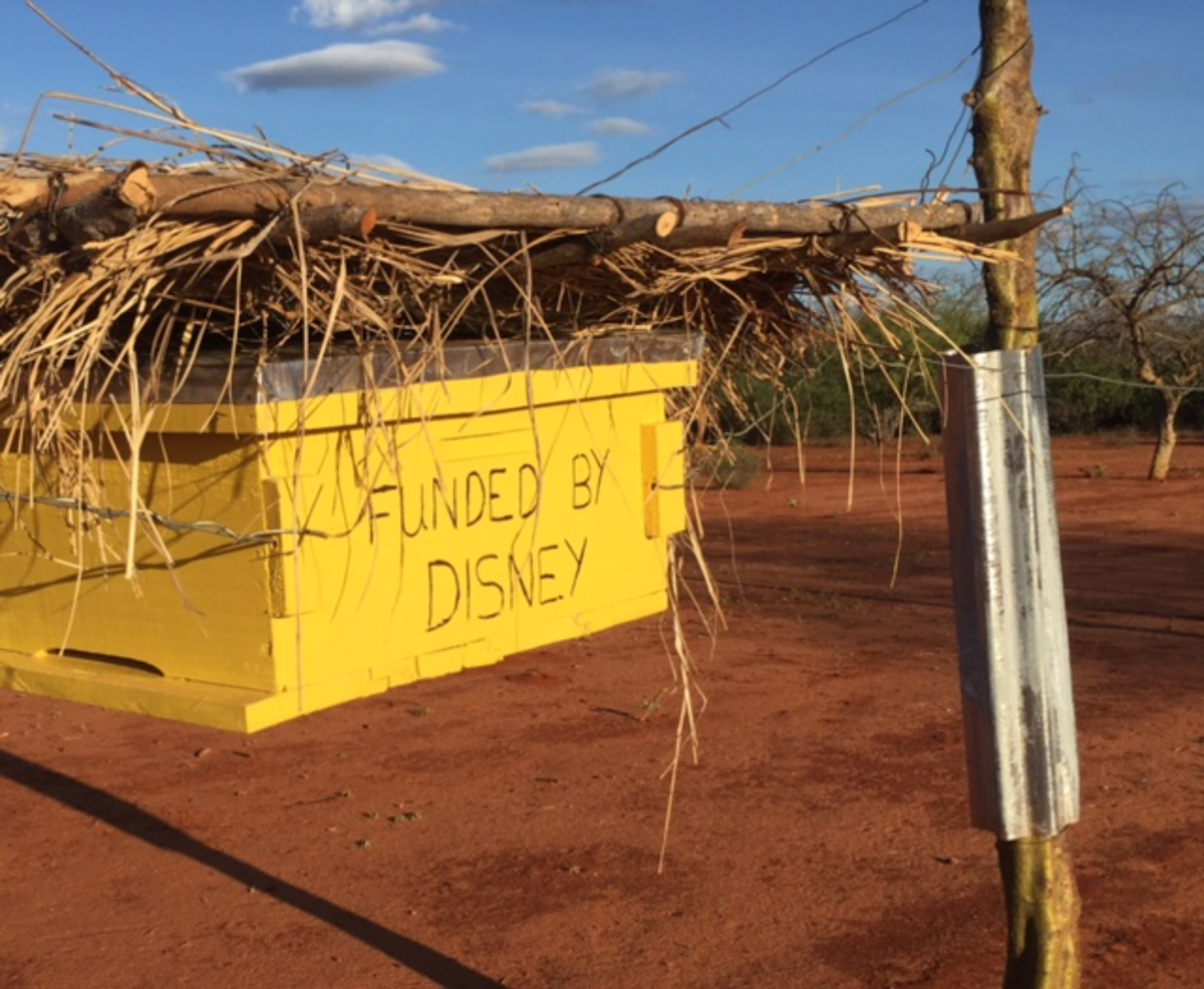 Beehive Fences - Pilot Project, May 2017 Update - Tsavo Trust