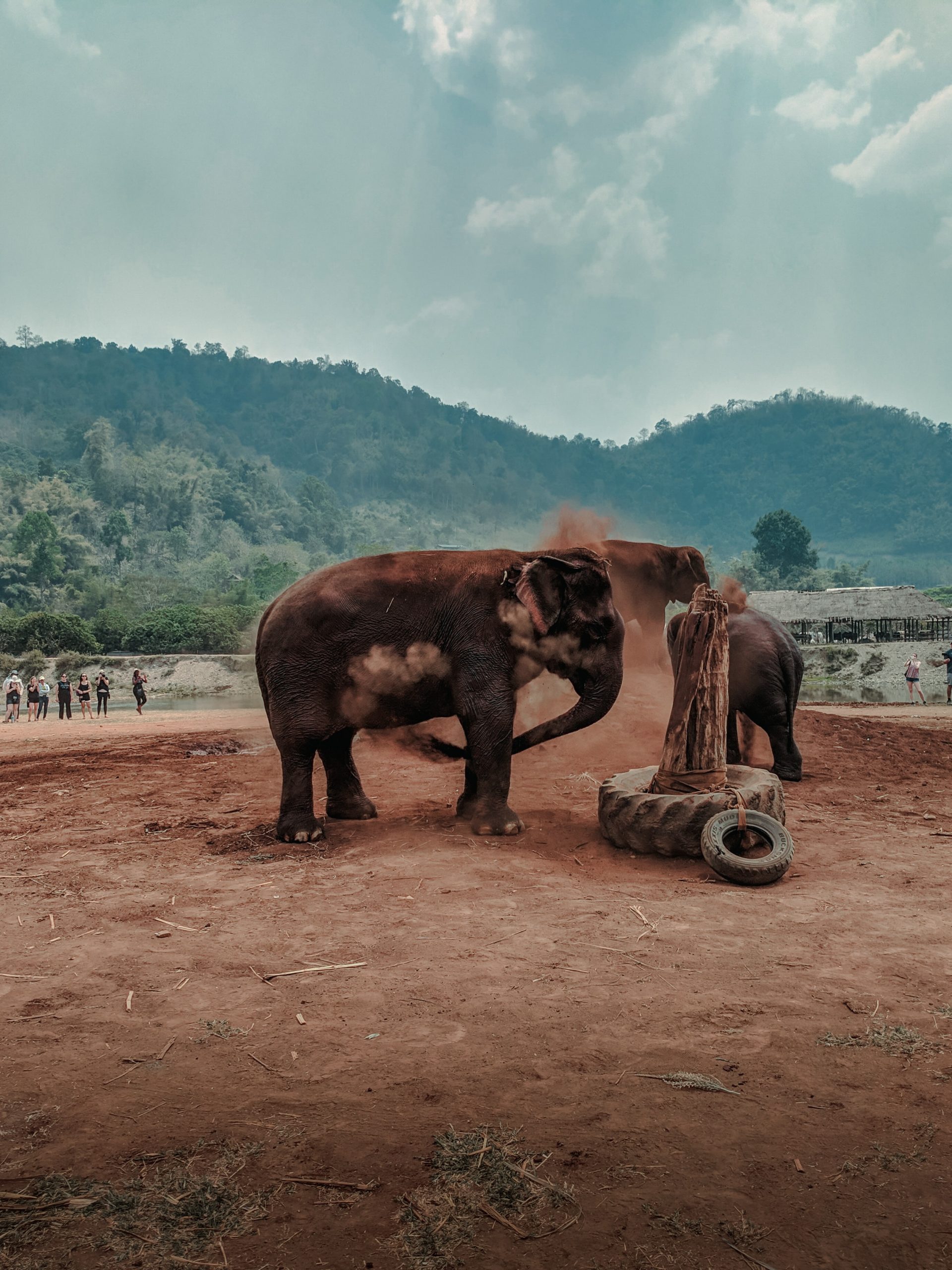 Human-wildlife conflict: case studies from around the globe - Tsavo Trust