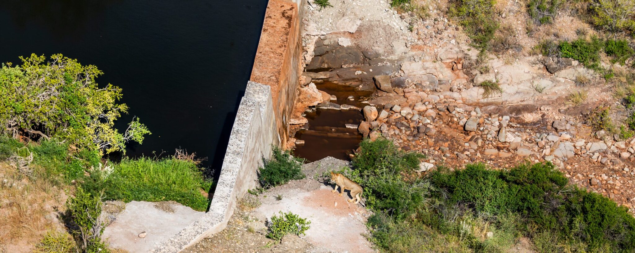 How do elephants find water? - Tsavo Trust